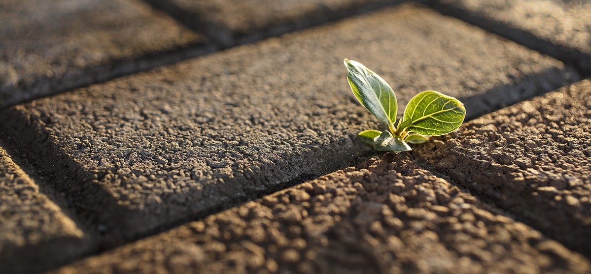 The United Basalt Products Ltd